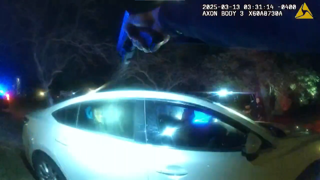 Four arrests made in alleged car theft ring bust in Southfield