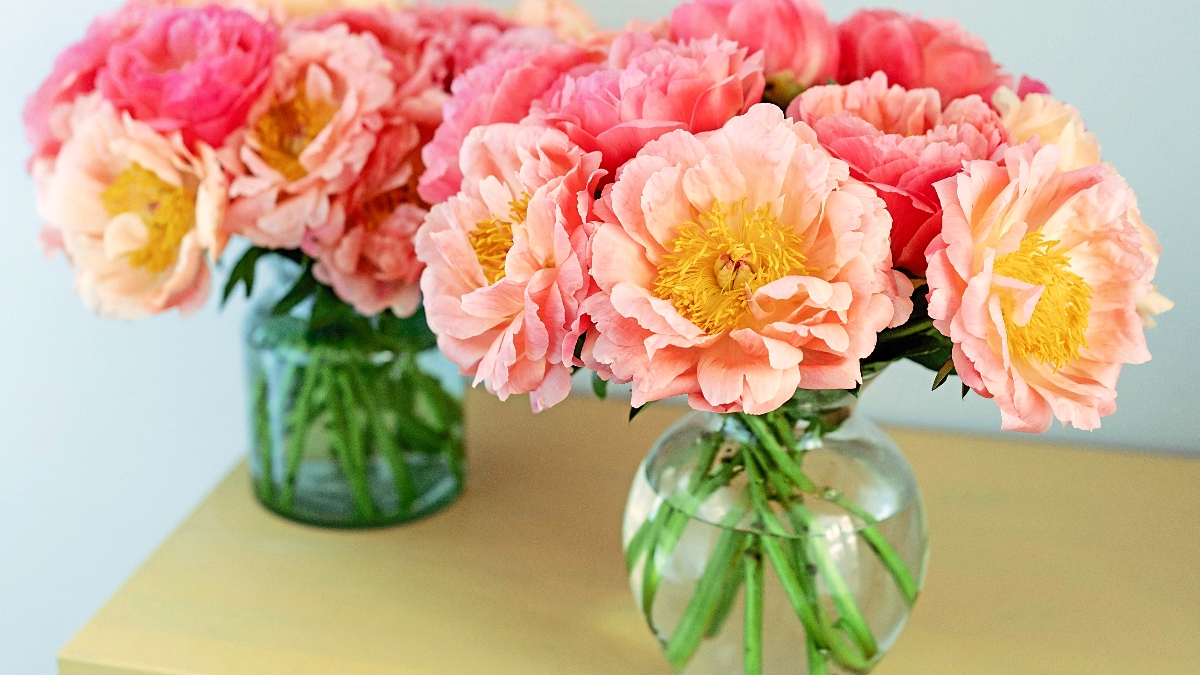 Mini Holidays from March 17 to March 22 For You to Celebrate