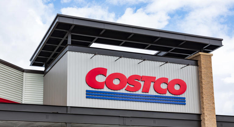 Costco Brought Back Its Fan-Favorite Steel Plant Caddy Set and Shoppers ...