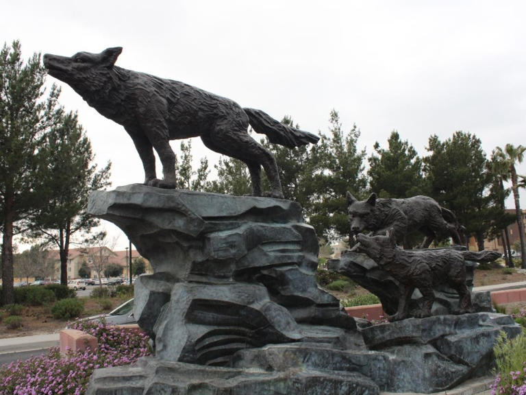 Trump Administration Launches Investigation Into CSU San Bernardino