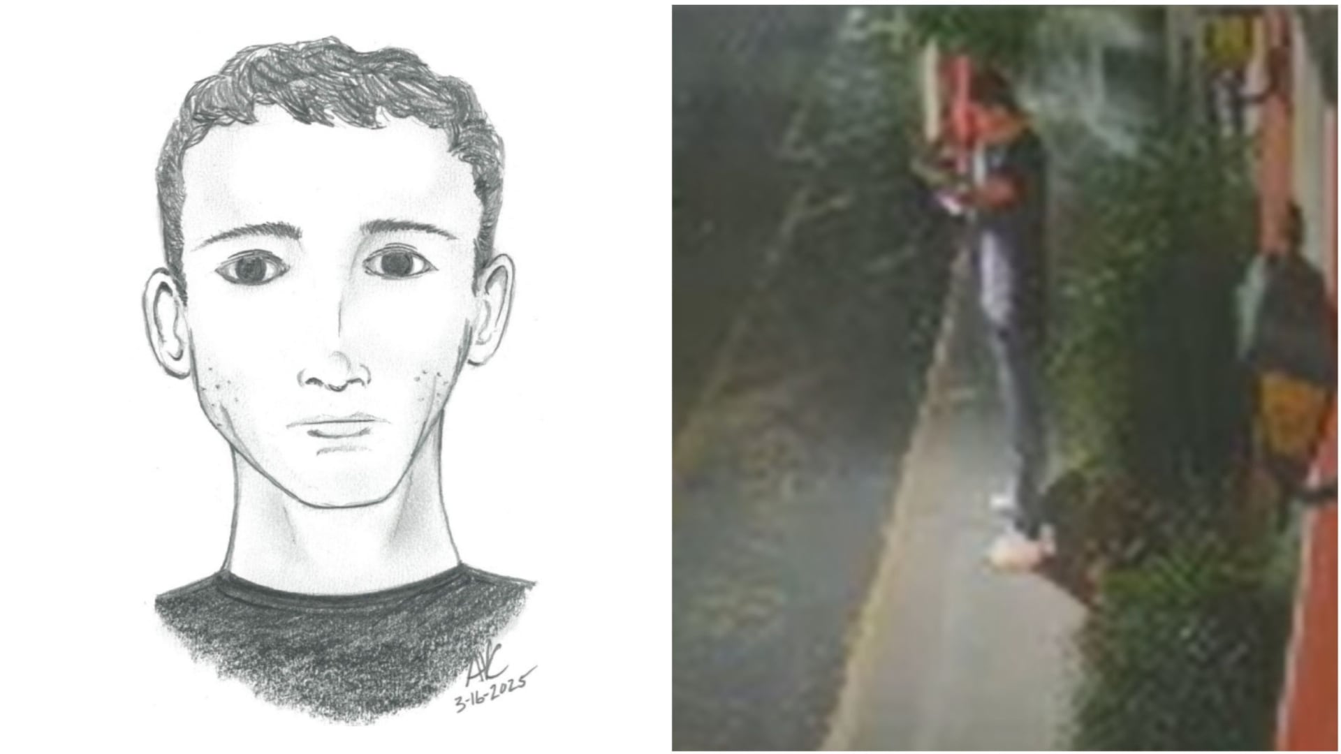 Police release sketch of man accused of attacking women in Altamonte ...