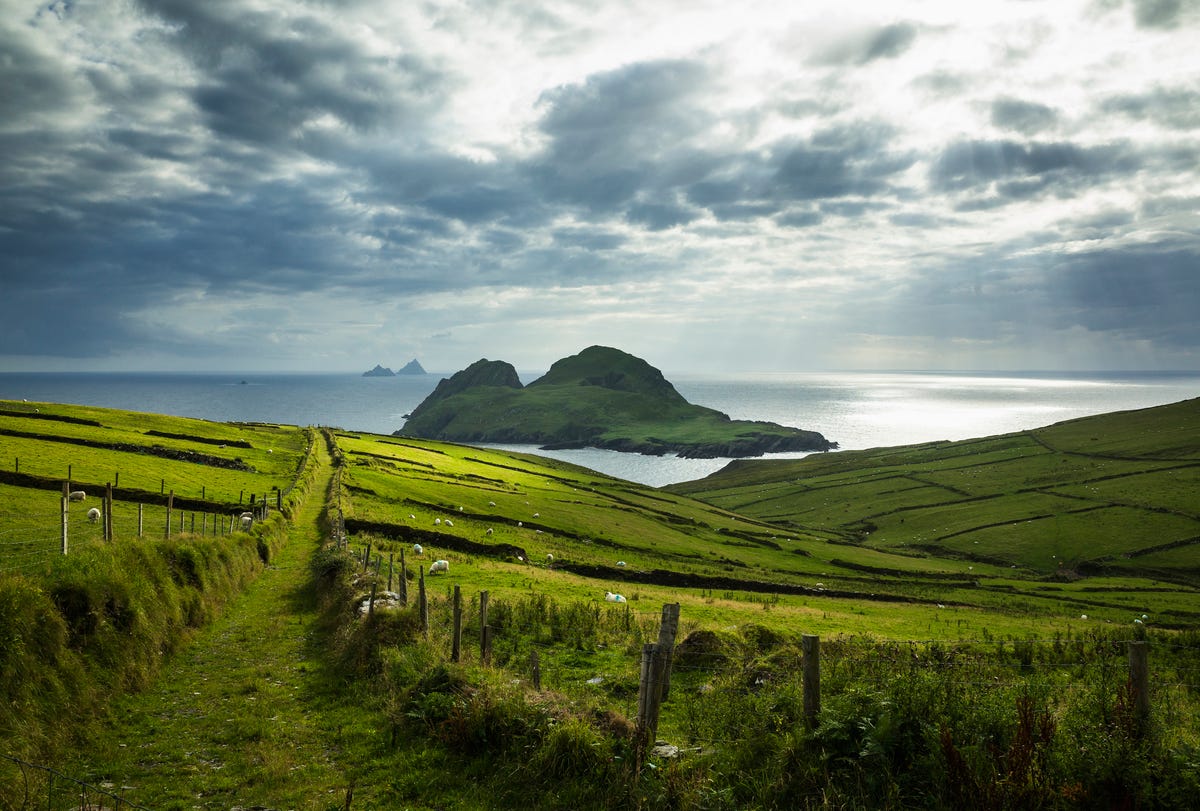 29 St. Patrick’s Day activities for a fun-filled celebration