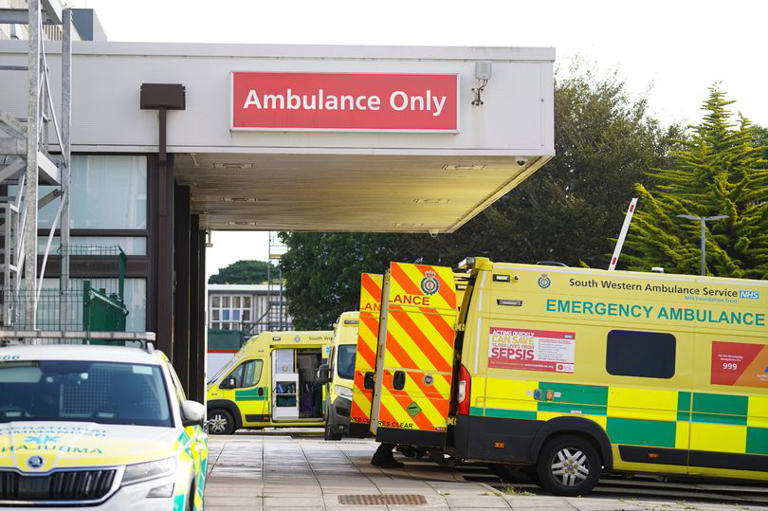 Man died after saying he had been stung and collapsing