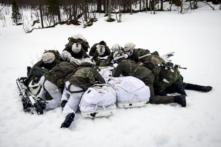 Royal Marine Commando helicopters complete Arctic mission with allies