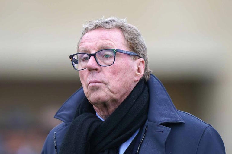 Harry Redknapp 'makes Nazi-style salute' and calls Thomas Tuchel ...