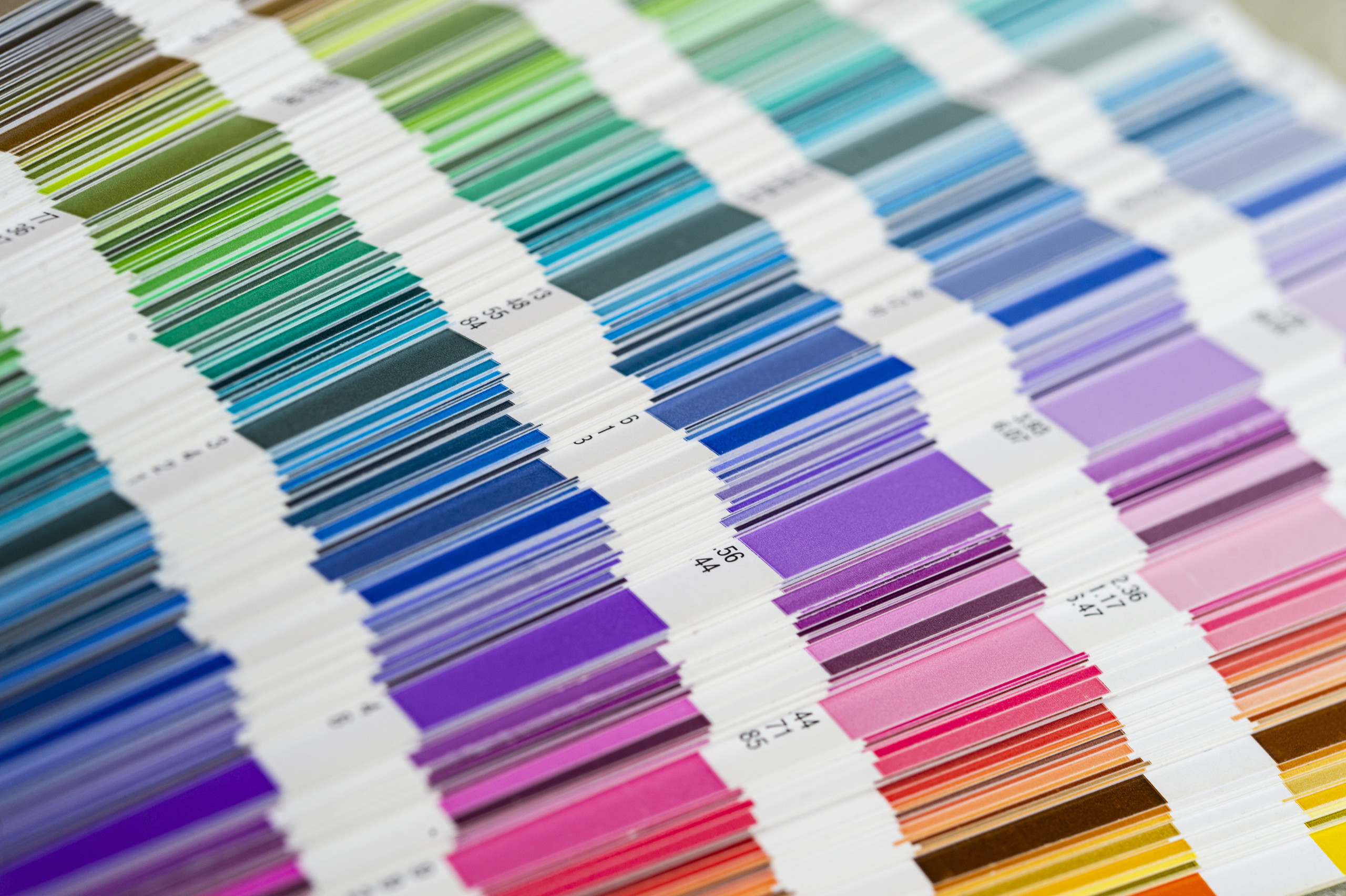 Why Pantone has a color of the year (It all started with birds)