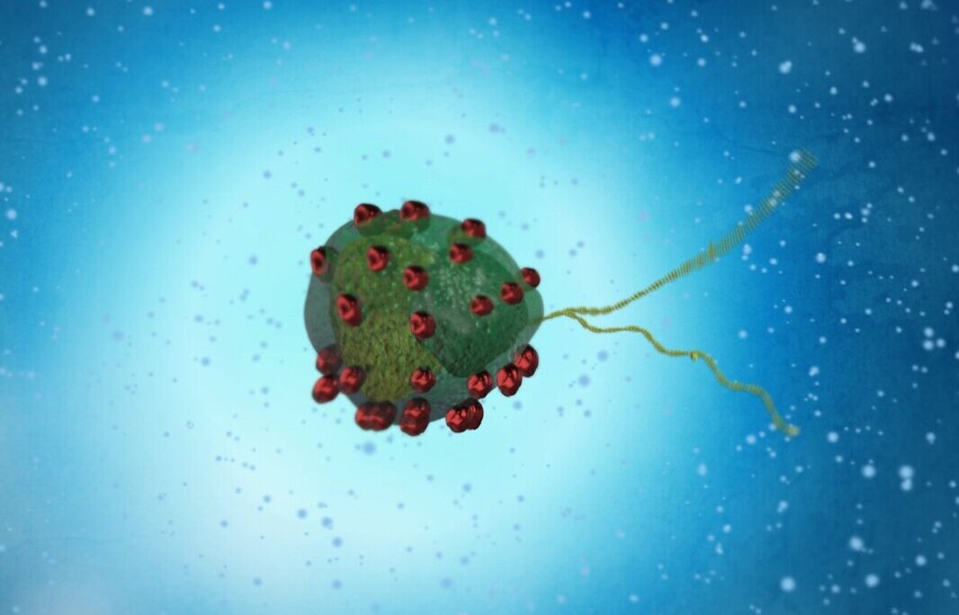 Magnetic microalgae: Tiny swimmers are on a mission to become robots