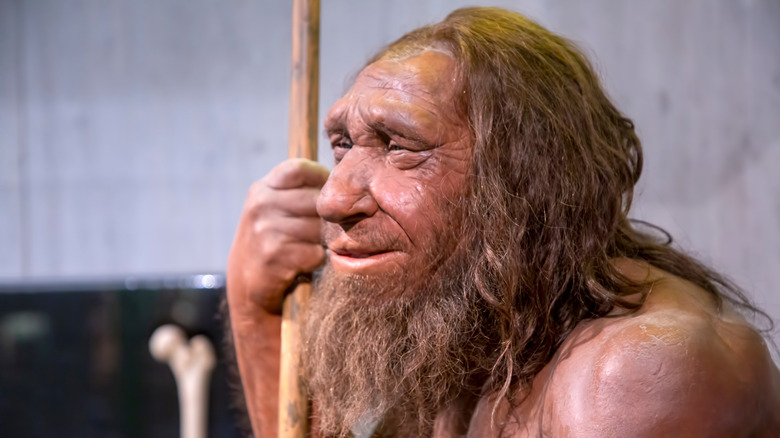 Neanderthals Were Smarter Than We Ever Realized