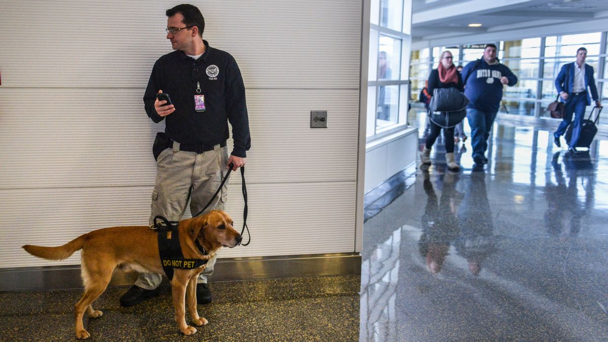 DOGE allegedly froze spending on care, feeding of TSA bomb-sniffing ...