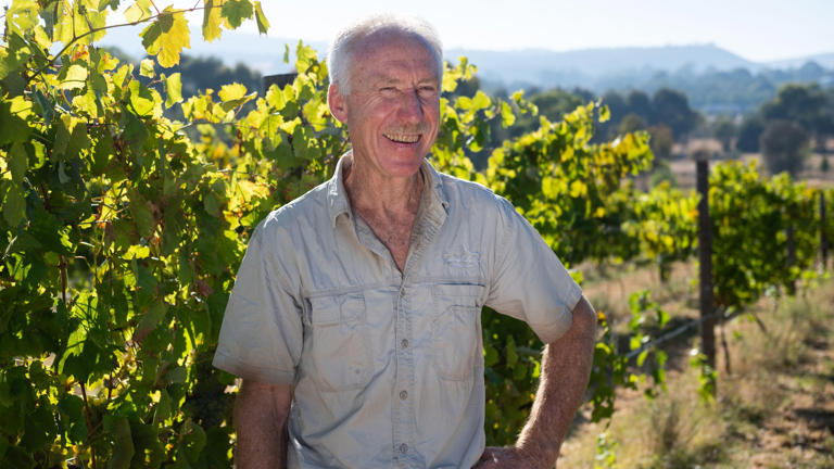 Beechworth wine grape grower imports petit avine and cornalin for ...