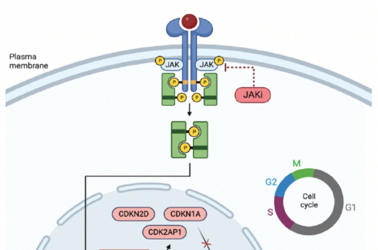 Researchers find possible link between medication and unexpected blood ...