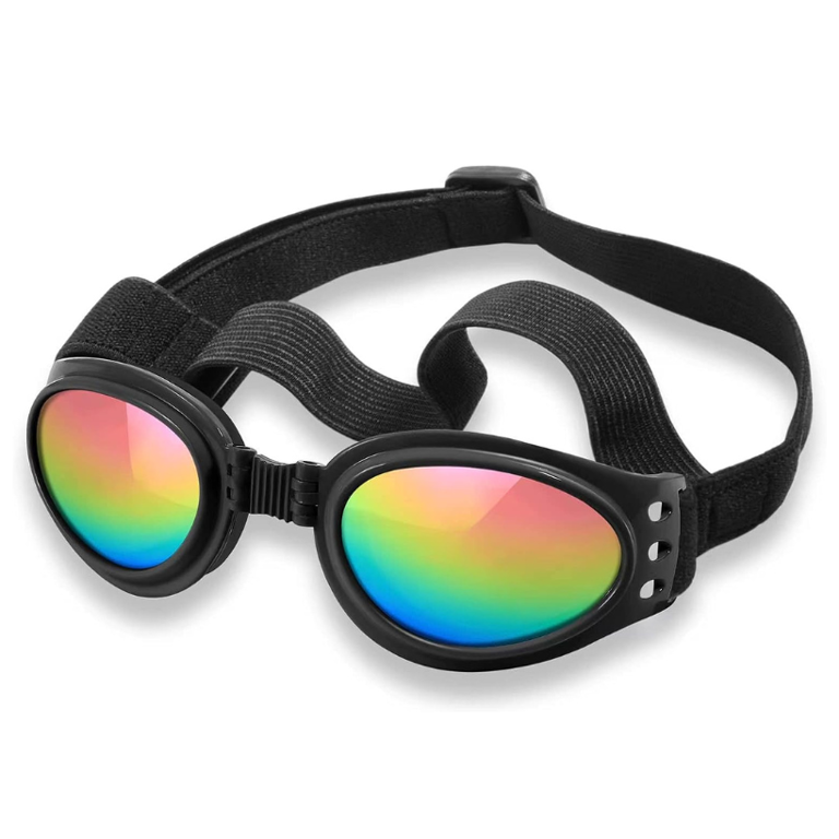 For the Fur Parents, Here Are Some Pet Supplies You Can Get Right Now ...