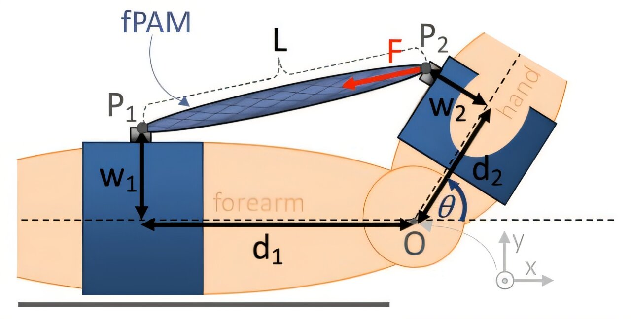 Soft, air-filled 'muscles' power a new robotic exosuit
