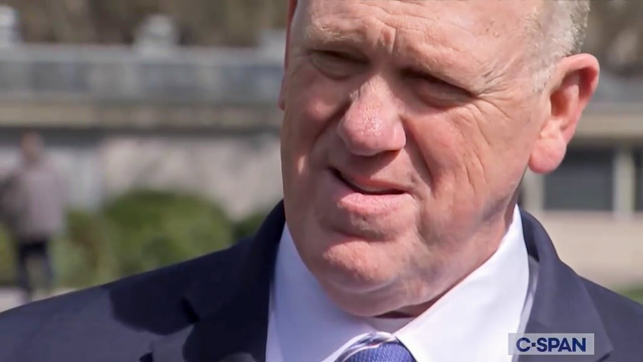 Watch: Border czar storms off as reporter accuses him of 'circumventing ...