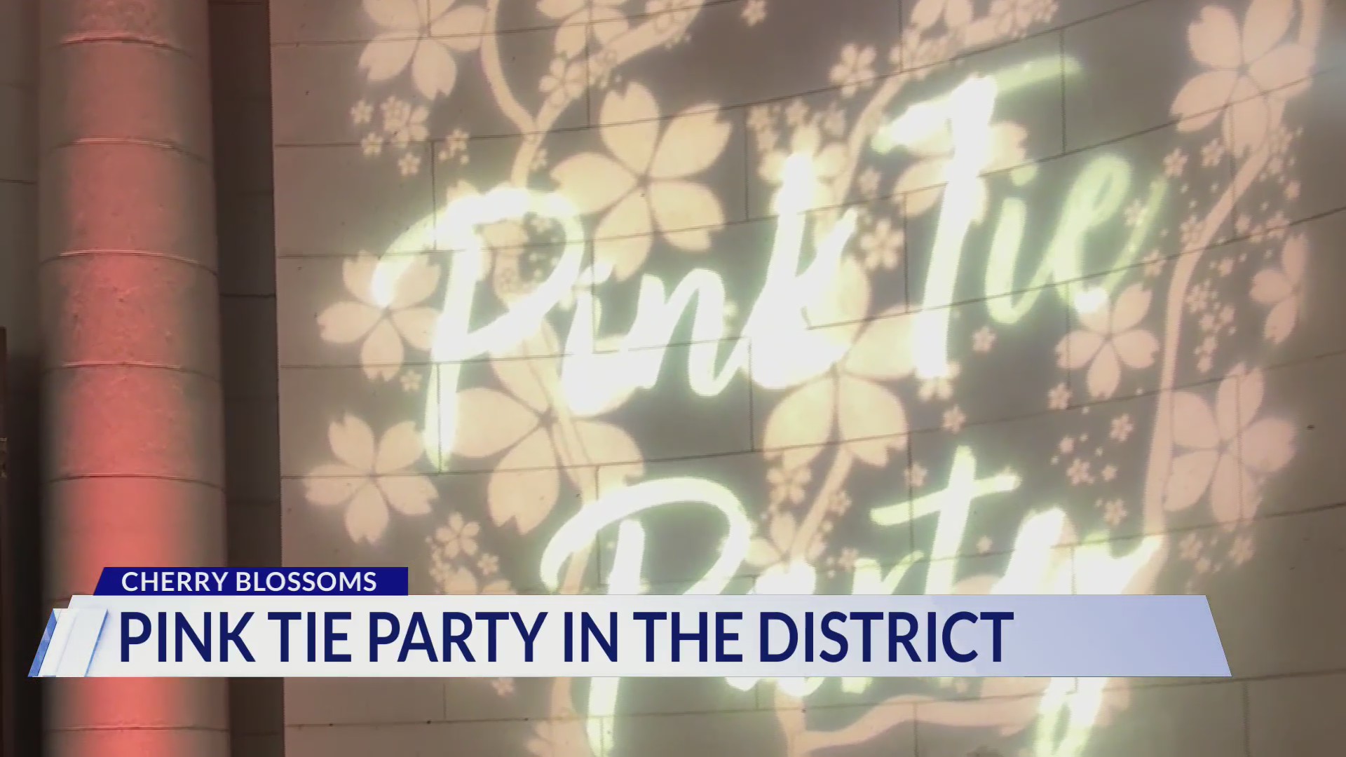 Pink Tie Party in DC celebrates cherry blossoms