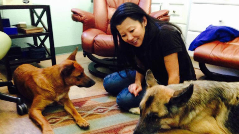 Santa Fe authorities update timeline on the last days of Gene Hackman ...