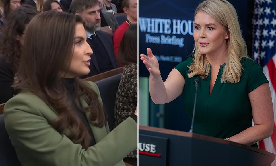 Leavitt and Collins' bitter exchange over Biden's autopen