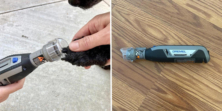 I'm a former vet assistant who has trimmed hundreds of dogs' nails ...