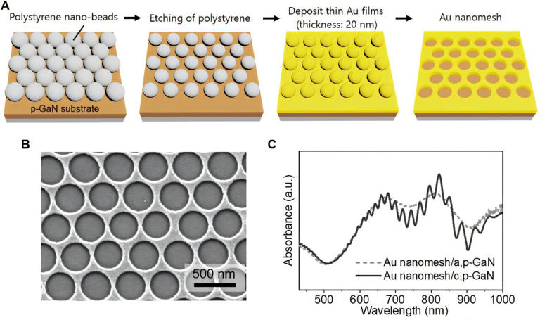 Advancing light-to-electricity energy conversion: New method extends lifespan of plasmonic hot holes