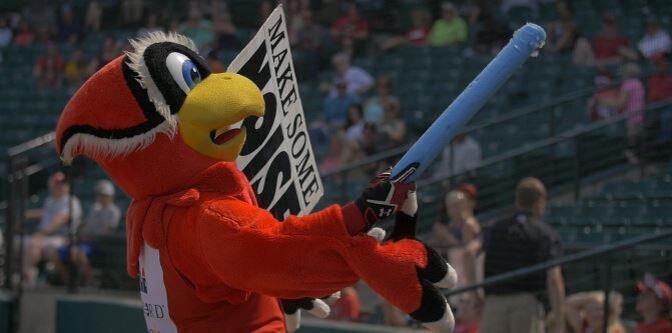 Do you have what it takes to be the next Hawkeye?