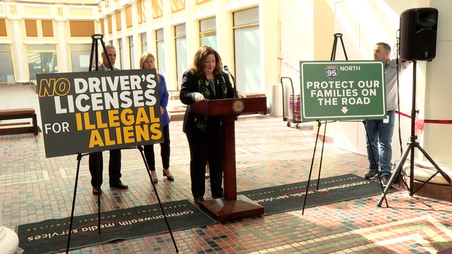 Proposed constitutional amendment to prevent illegal immigrants from ...