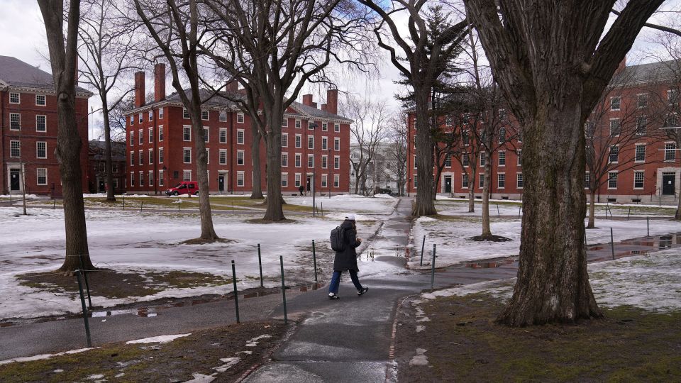 Harvard announces it will go tuition-free for students from families ...