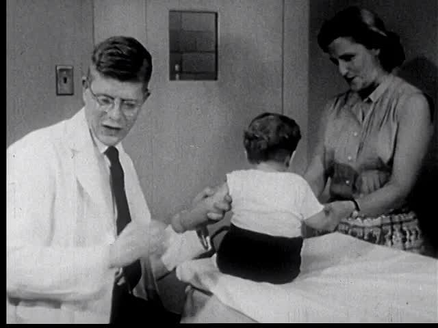 The Immune System: Antibodies, Bloodstream, and Vaccine Protection