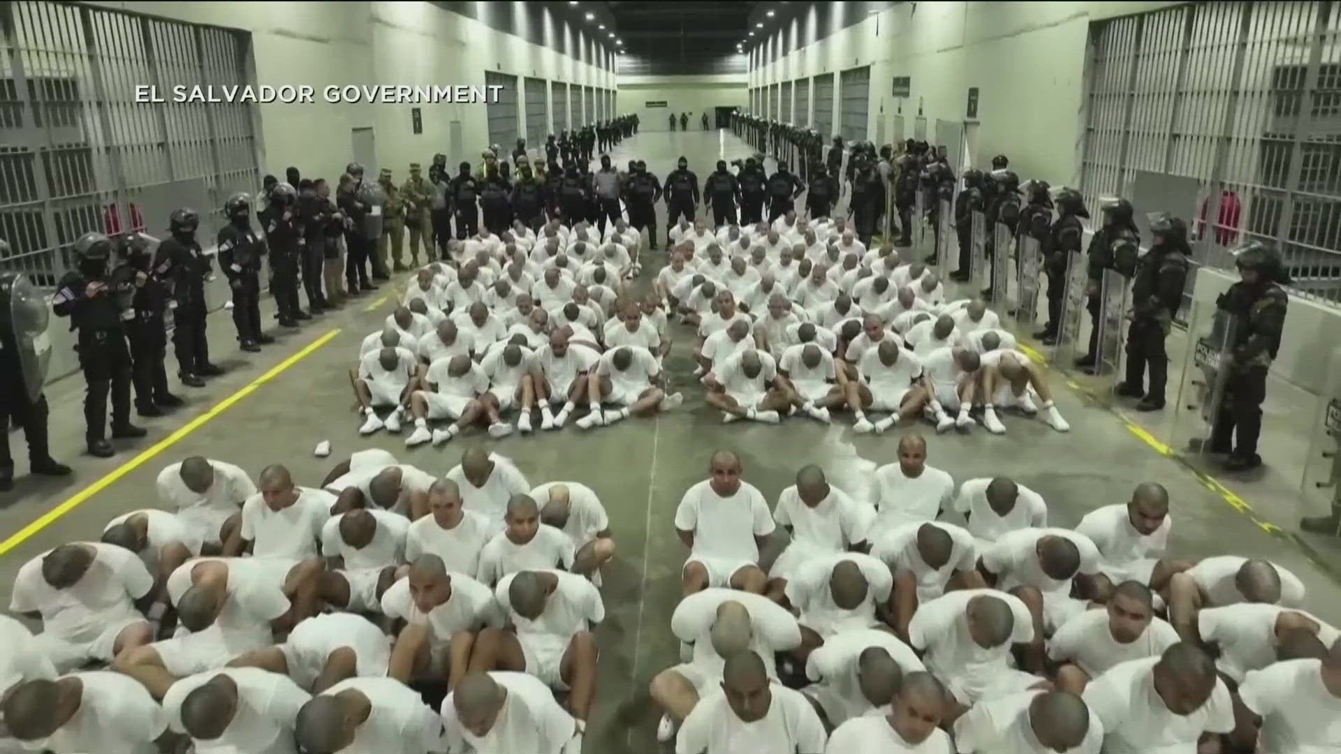 Judge orders White House to disclose details about deportation efforts ...