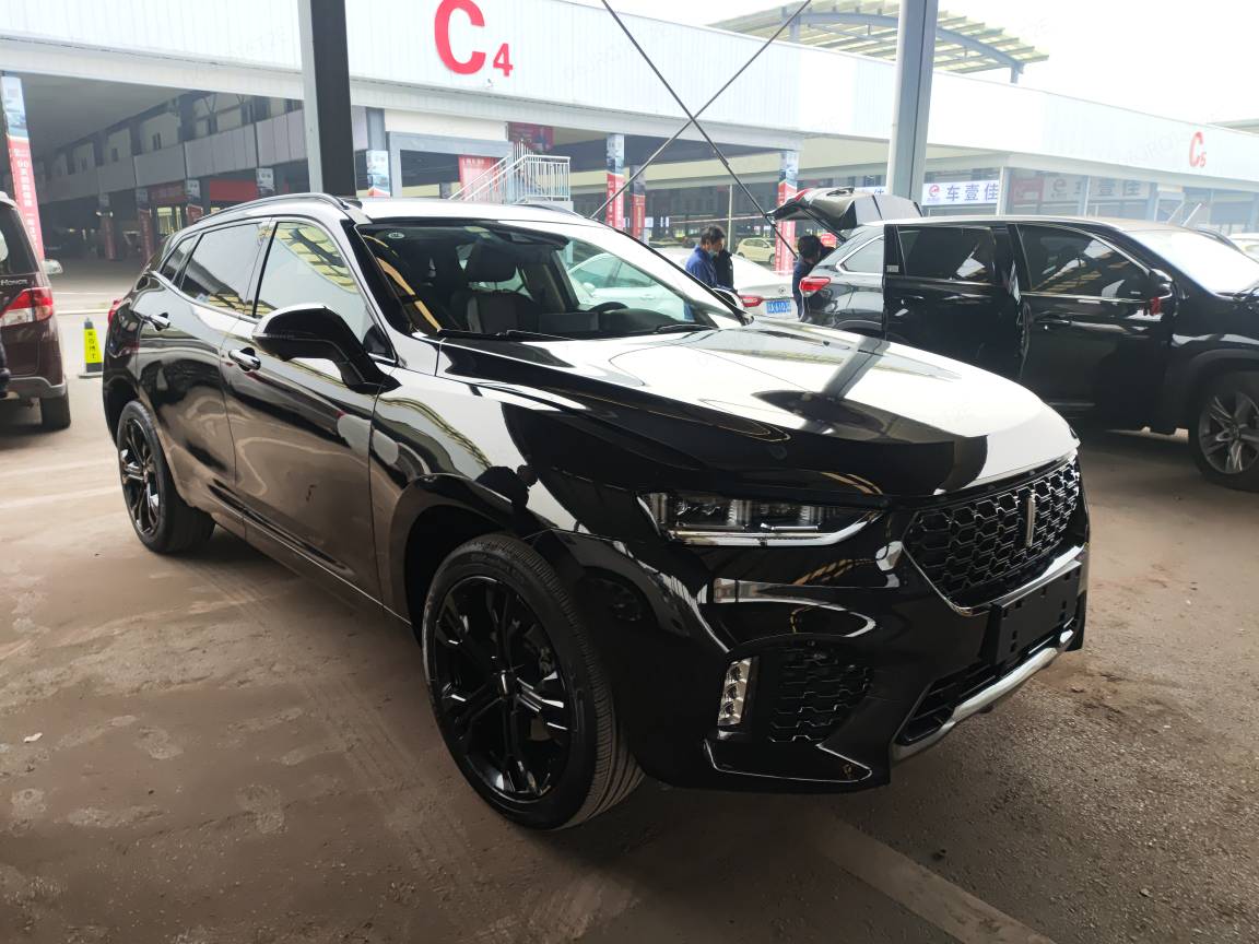 魏牌 魏牌 VV7 2019款 升级款 2.0T 旗舰型 国VI实拍图