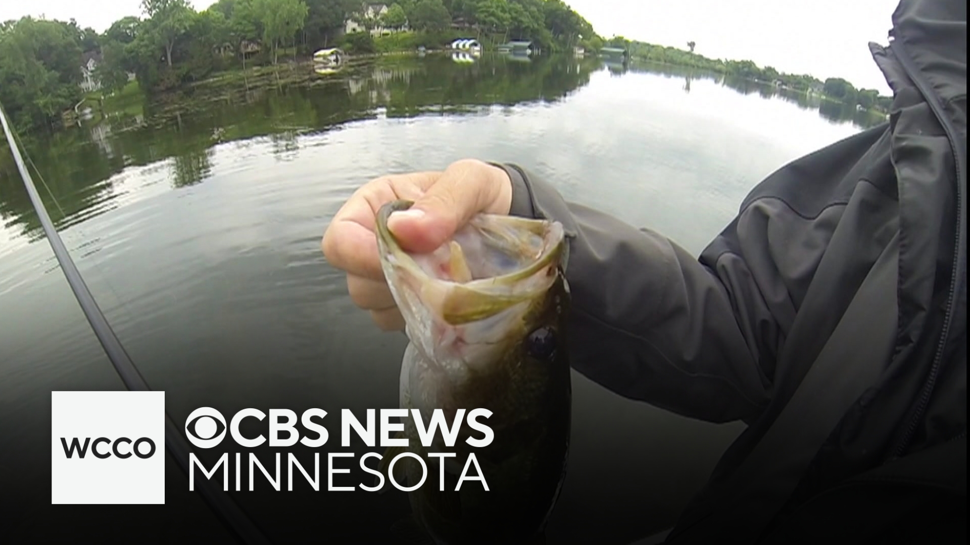 How does the DNR count fish in lakes?