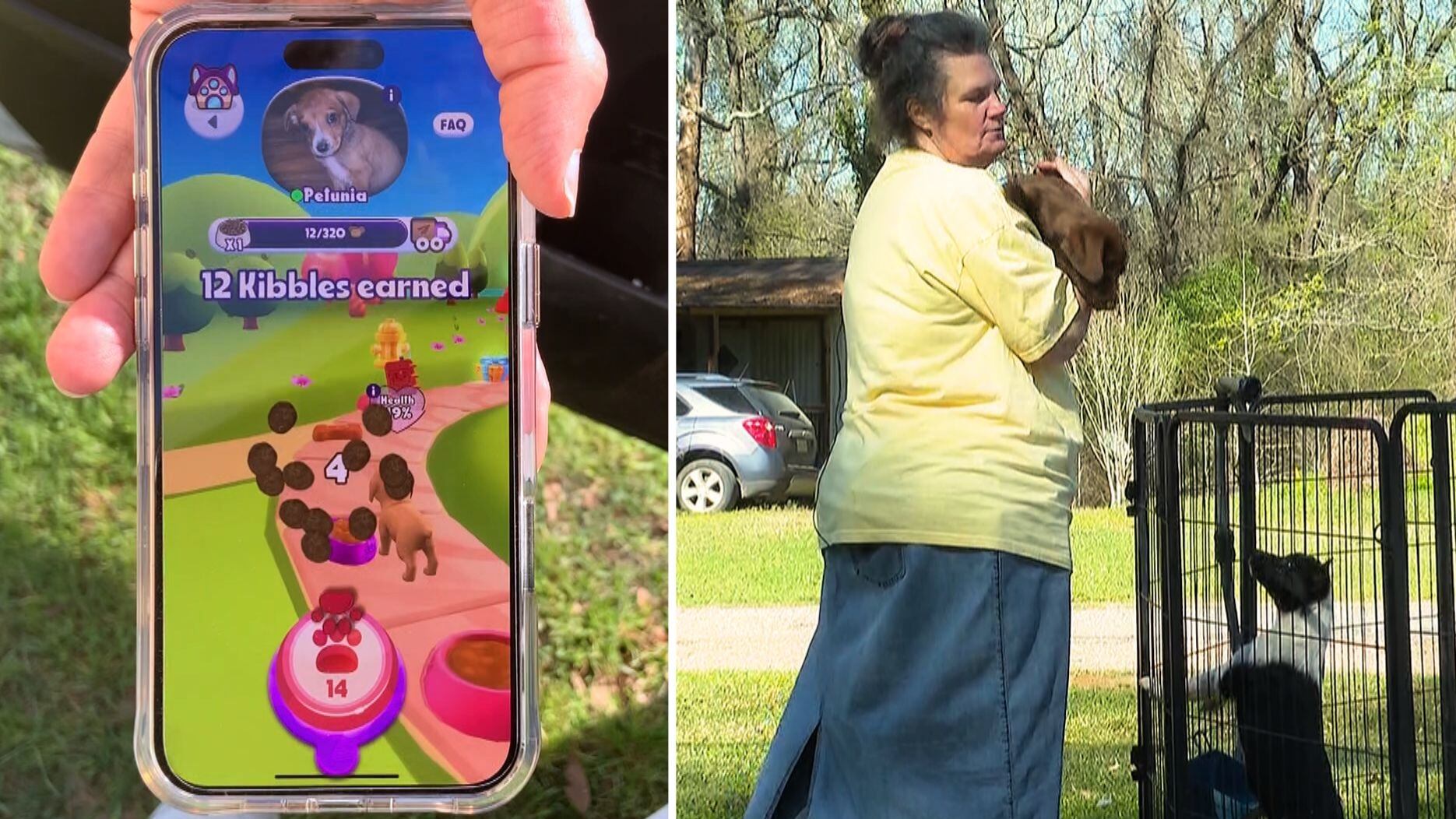 Jena animal shelter sees an increase in donations thanks to the TREAT app
