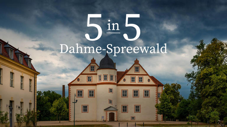 Sterntaler-Erfolg + neue Wohnungen in LDS + Lidl in Eichwalde