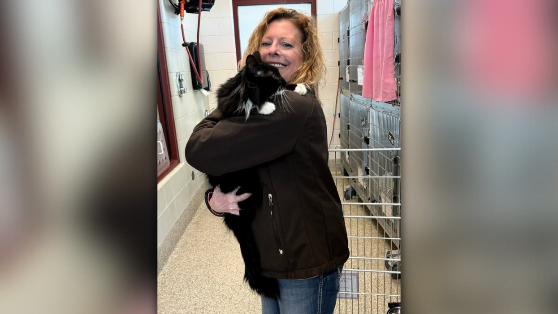 Humane Society helps reunite cat with its family after a grass fire ...
