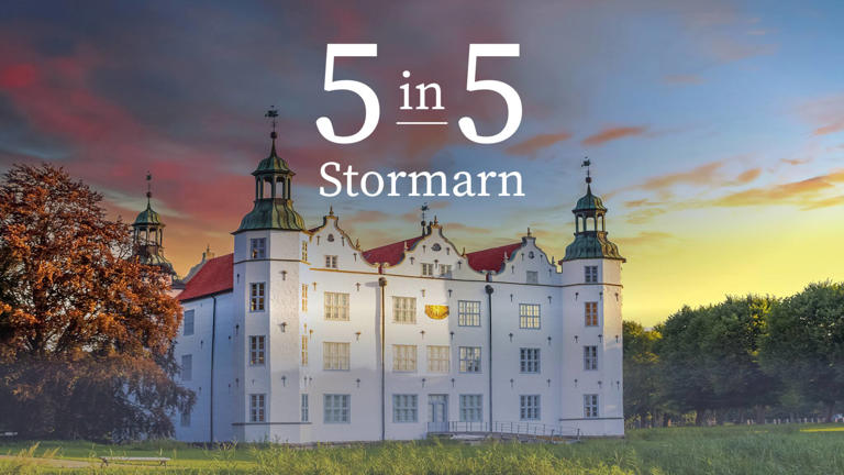 Spanner-Video auf Facebook aufgetaucht + So wird Herbstlaub richtig ...