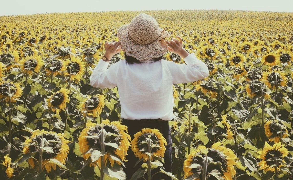 Zodiac Signs Set to Bloom During the Equinox from March 17 to 23