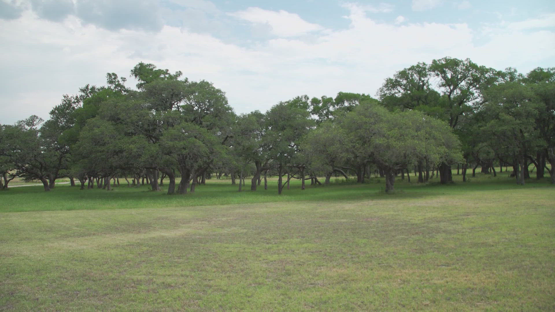 Texas lawmaker files bill that would get rid of Texas Parks and Wildlife Texas lawmaker files bill that would get rid of Texas Parks and Wildlife