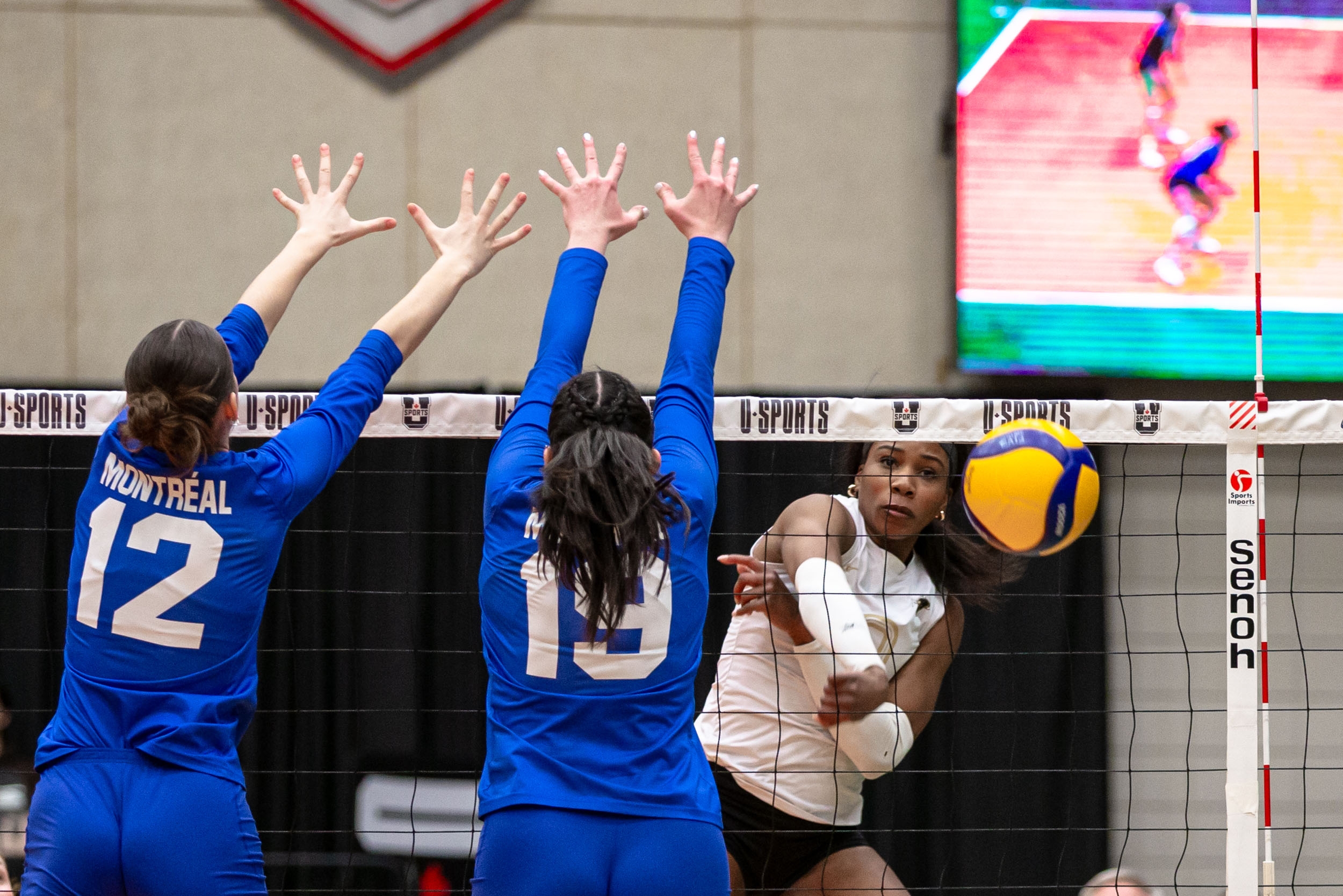 ‘Joy and purpose’: Bisons win U Sport women's volleyball championship