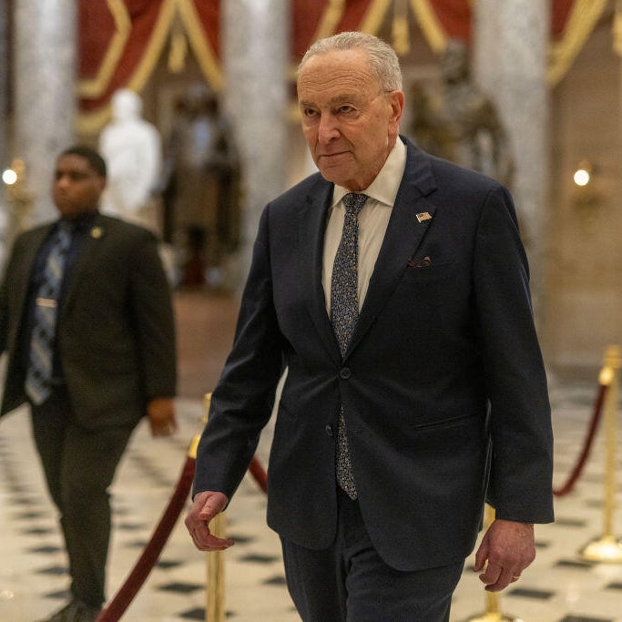 Schumer postpones book tour, citing "security concerns" after funding vote