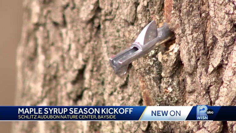 Maple syrup season kicks off in Southeast Wisconsin