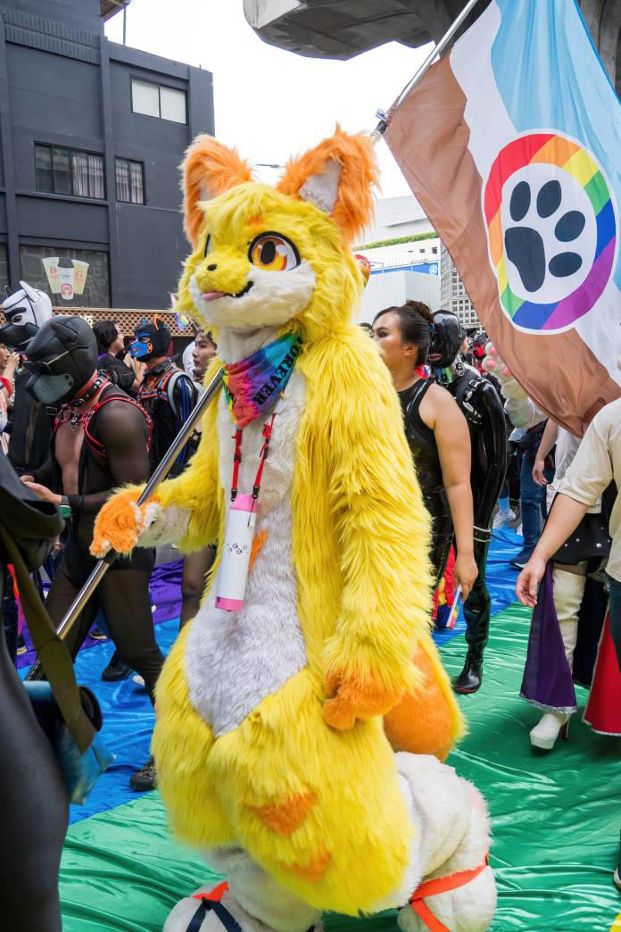 Texas Bill Moves to Ban ‘Furry’ Behavior in Schools