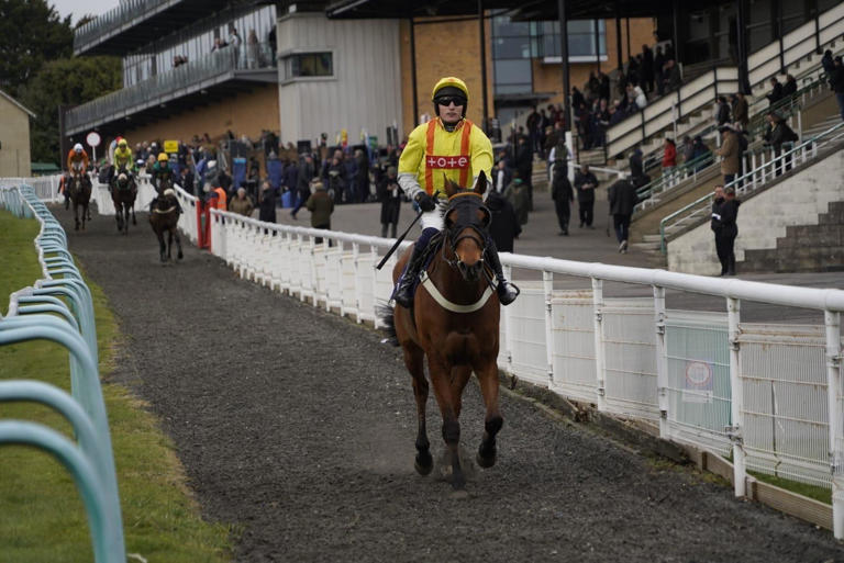 St Patrick's Day racing at Fontwell Park - in 23 photos by Clive Bennett