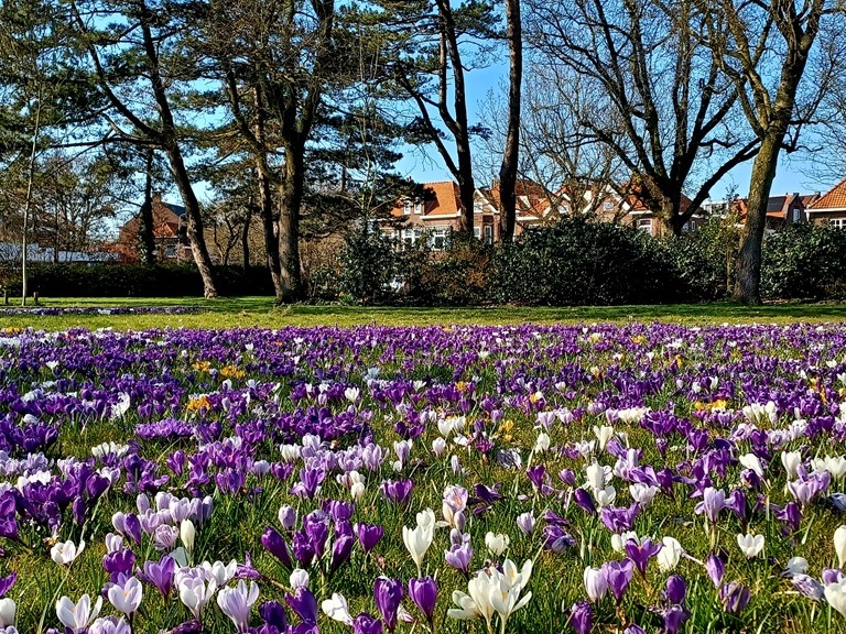 Dit wordt het weer bij de start van de astronomische lente