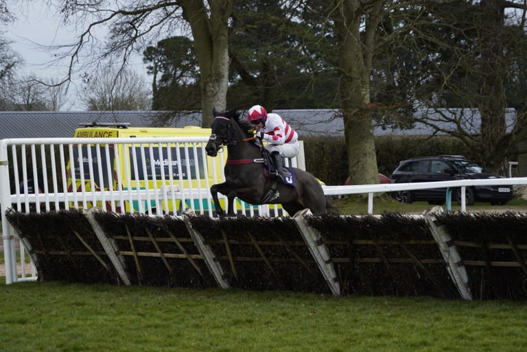 St Patrick's Day racing at Fontwell Park - in 23 photos by Clive Bennett