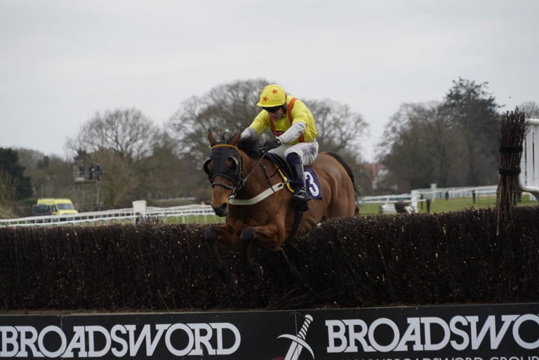 St Patrick's Day racing at Fontwell Park - in 23 photos by Clive Bennett