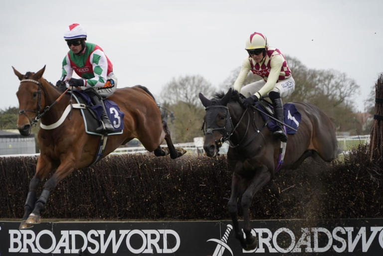 St Patrick's Day racing at Fontwell Park - in 23 photos by Clive Bennett