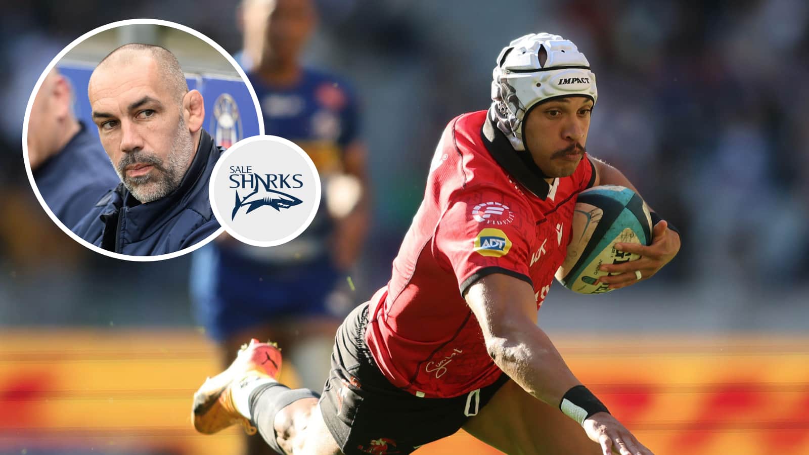 Sharks battle it out for Springboks speedster’s signature as Sale ...