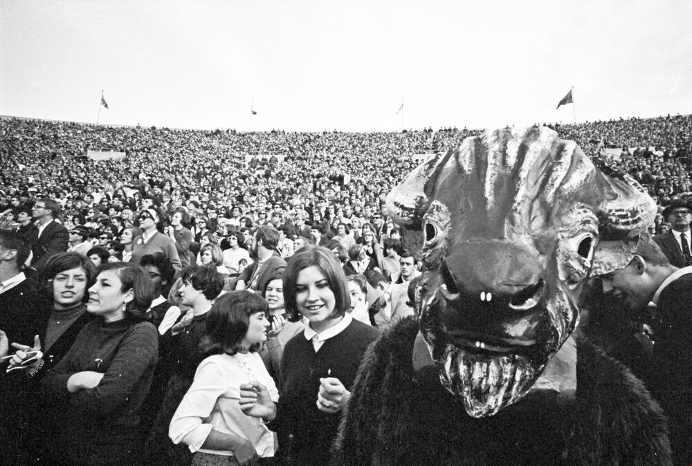 Bring back the bison: Could IU's long-lost beast of a mascot make an ...