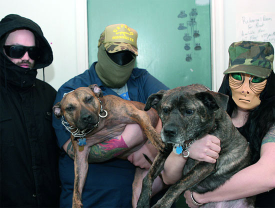 8 Animal-Led Metal Bands That Go Harder Than Most Humans