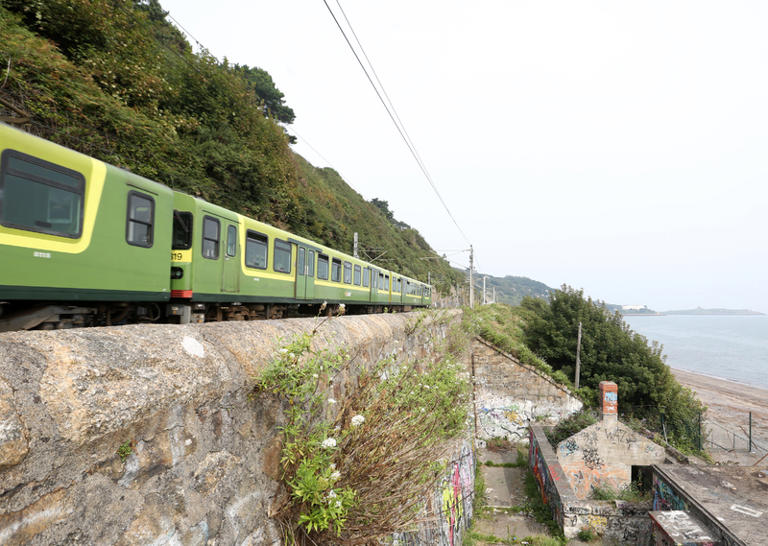 Dart services between Dalkey and Bray suspended after vandalism damages overhead lines