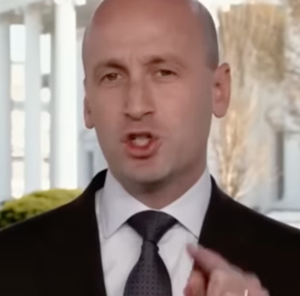 Stephen Miller Throws On-Air Tantrum After MSNBC Analyst Dares To ...
